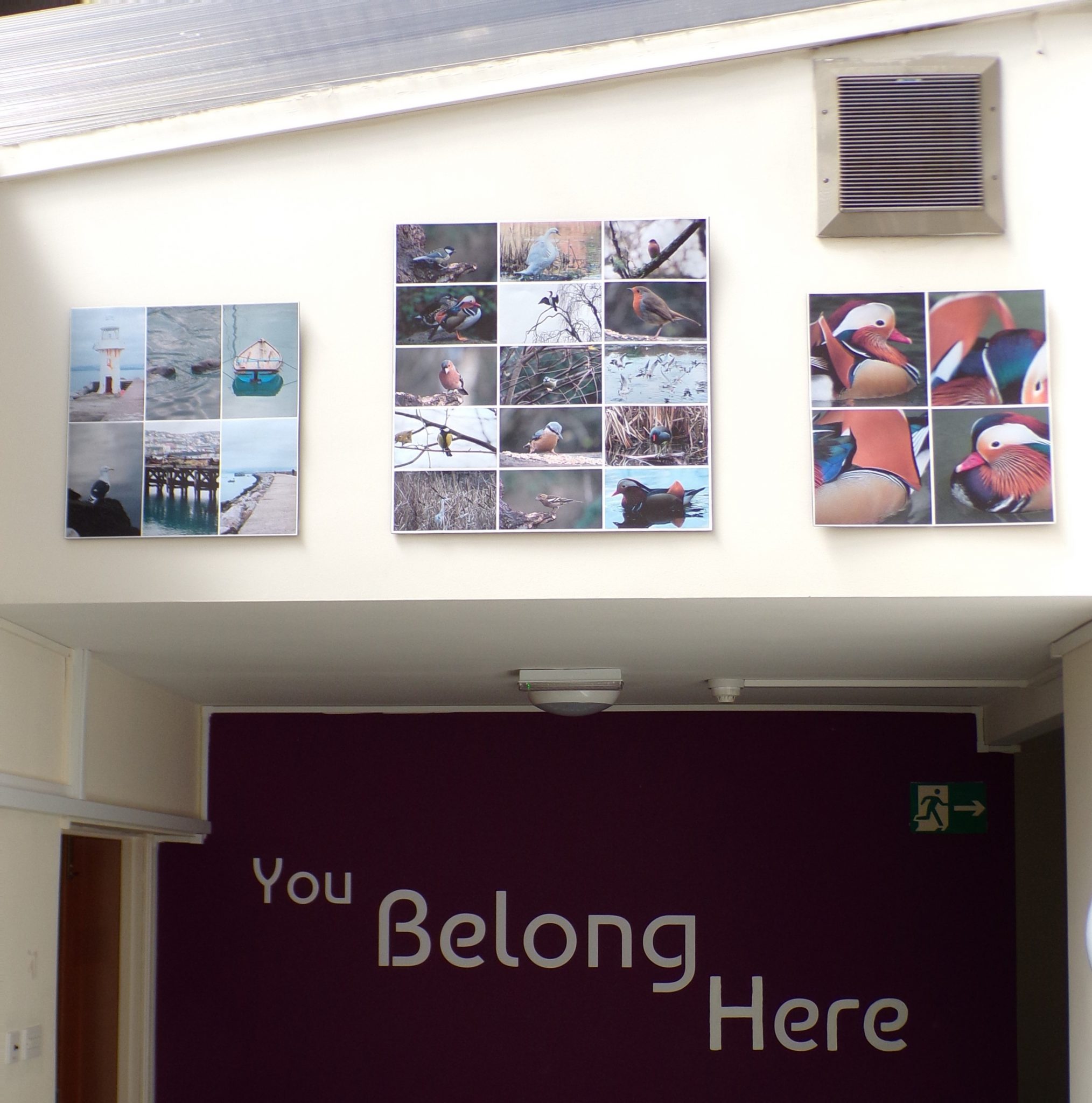 Cowick Street Art Installation – Belong Learning